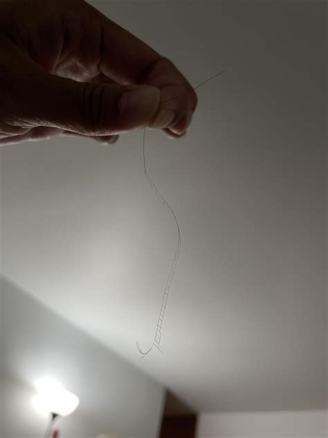 Ladder R Split Ends