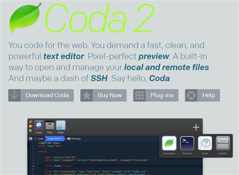 10 Best Text Editors For Developers In 2024 Updated Wedevs