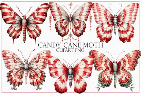 Candy Cane Moth Clipart Graphic By Mehtap Aybastı · Creative Fabrica