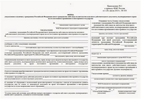 Уведомление о двойном гражданстве — заполнение бланка уведомления