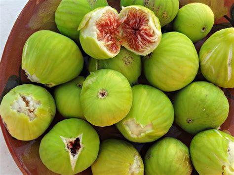 O Melhor Alentejo Do Mundo Figos O Fruto Perfeito