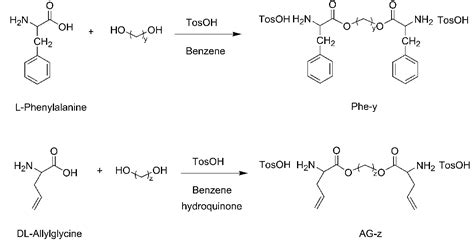 Polyester Urea Semantic Scholar