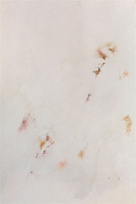 on primitivity morgan stokes sydney contemporary