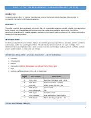 F22 ID By Burning Lab Assignment Instructions 1 Docx IDENTIFICATION