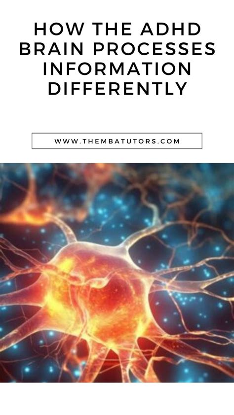 Adhd Brain Vs Normal Brain Functions Differences More Artofit