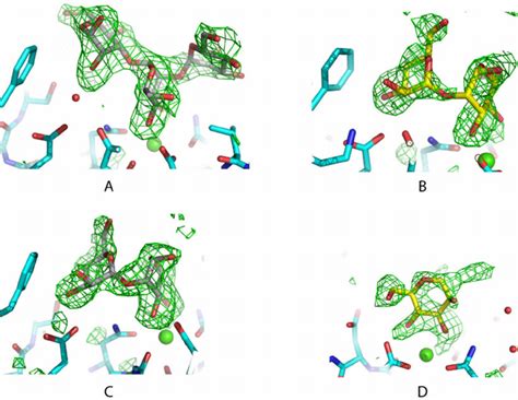 Electron Density Maps For Bound Ligands Download Scientific Diagram