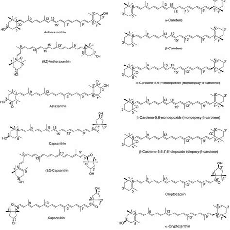 Growth Inhibition Of A549 Cells By Capsorubin Initial Seeding Density