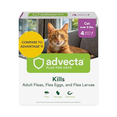Top 5 Best Bayer Drontal Broad Spectrum Dewormer Cats Standout Picks