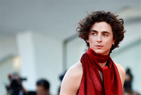 Timothée Chalamet en la alfombra roja de Venecia