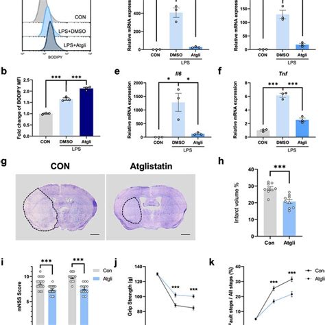 Foamy Microglia With Unique Transcriptomes Were Associated With