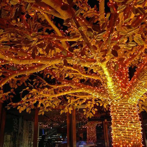 Sushisamba Mannassa Global Hospitality Pioneer