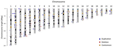 Identification Of Structural Variation From NGS Based Non Invasive Prenatal Testing Geneton