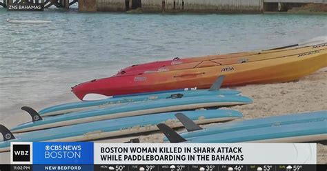 Boston Woman Killed In Bahamas Shark Attack Cbs Boston