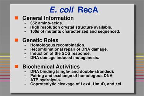 Evolution Of The Reca Protein From Systematics To Structure 1995 Tal…
