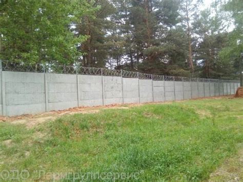 Егоза