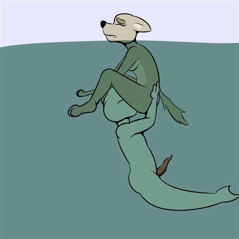 Rule 34 11 Animal Genitalia Animal Penis Anna Study Partners