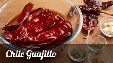 Chile Guajillo Cultiva En Casa Es Posible Pancita De Res Receta