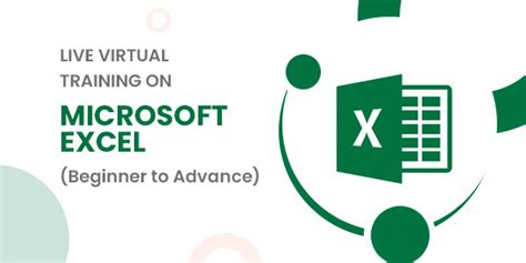 4 Hour Live Virtual Training On Microsoft Excel From Beginner To Advance