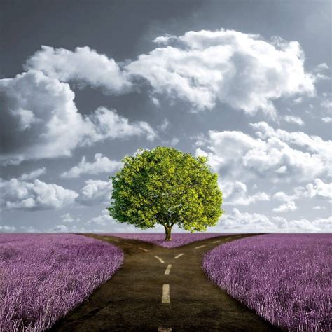 The Abundance Protocol