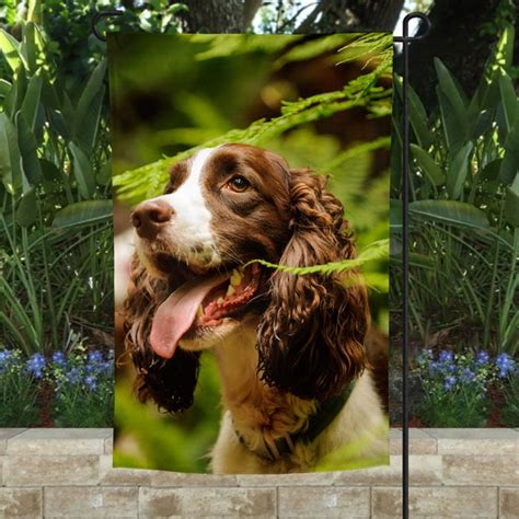 English Springer Spaniel Signs Etsy