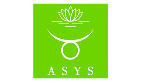Asys Automatic Systems Co Ltd