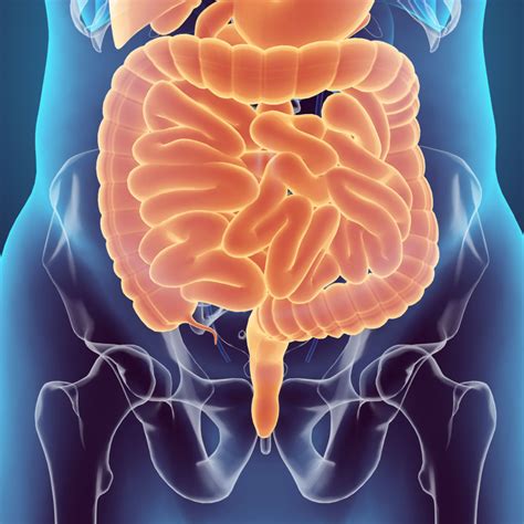 Preparación Previa A Endoscopia Colo Rectal Colonoscopia O