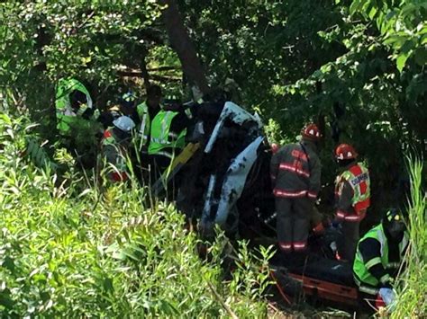 Tree Topples On Car After Crash