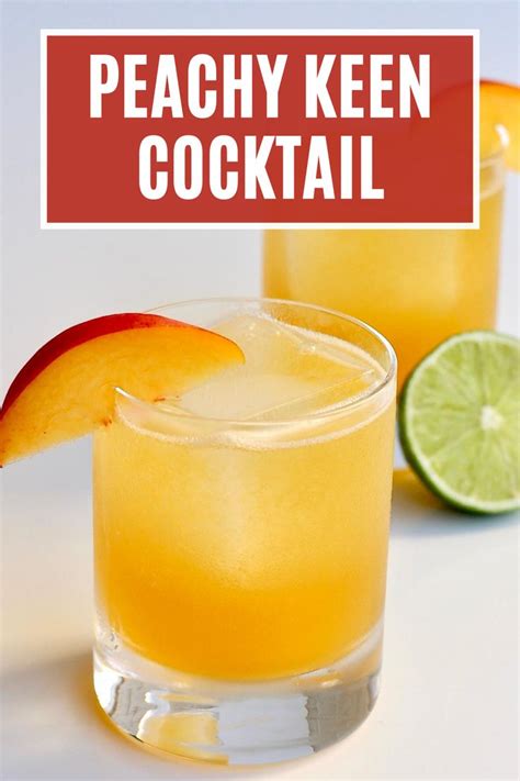 How To Make A Peachy Keen Cocktail Easy Drink Recipes Delicious