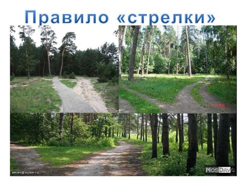 Способы ориентирования на местности - презентация онлайн
