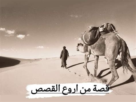 يــُروى أن تـاجراً مر بـإبل له على قوم يعرفهم ، وبعد أن أخذ واجب