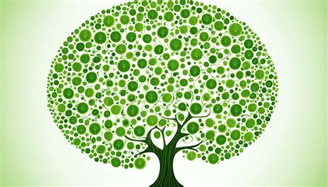 Exploring Italian Vs Multinational Business Models