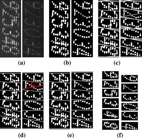 The Procedure Of The Proposed Segmentation Algorithm A Input Images