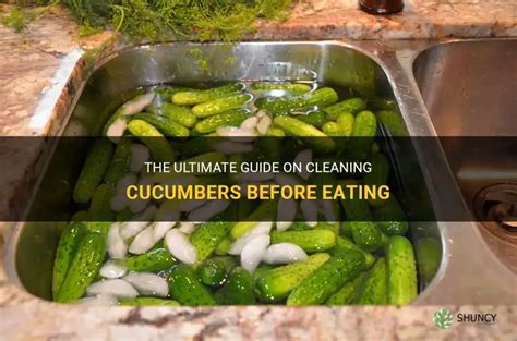 The Ultimate Guide On Cleaning Cucumbers Before Eating Shuncy