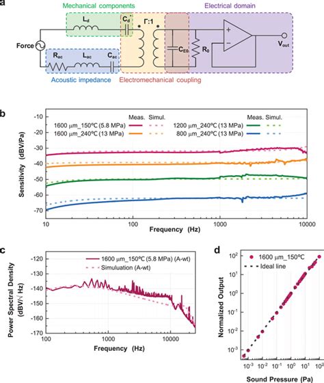 Acoustic Response Of The High‐fidelity Skin‐attachable Acoustic Sensor Download Scientific