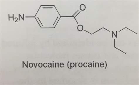 Solved I Which Of The Two Possible Amine Functional Groups