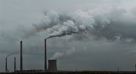 Air Pollution Disrupts Insect Sex Pheromones Archyde
