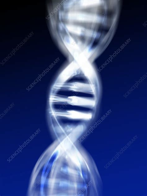 Dna Molecule Computer Artwork Stock Image F0010076 Science