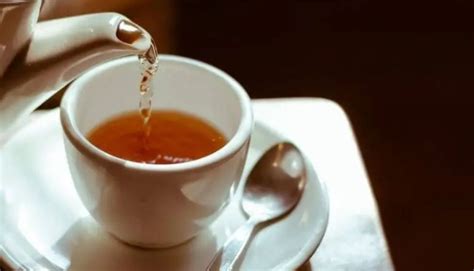 Ni Stres Ni Nesanica Svako Veče Popijte čaj Od Ove Biljke Za Nikad Bolji San Recepti I Zdravlje