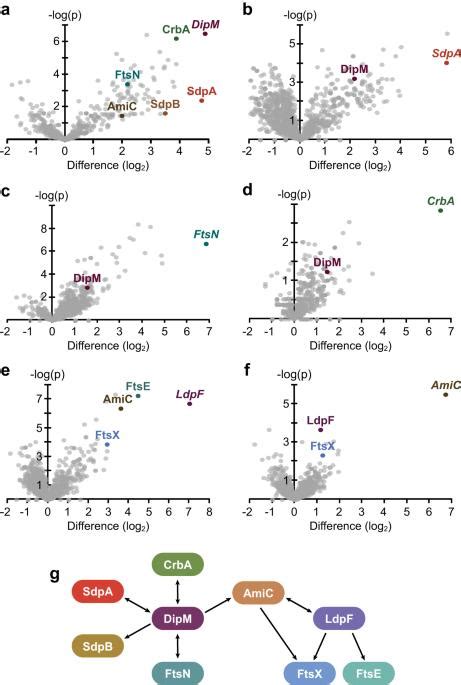 Drsatheesh Krishnamoorthy On Linkedin Dipm Controls Multiple Autolysins And Mediates A