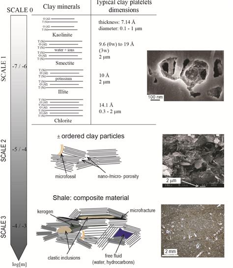 Figure 2 From Microfracturing And Microporosity In Shales Semantic Scholar