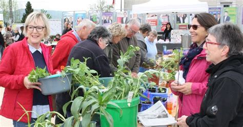 Choloy Ménillot Troc aux plantes dautomne dimanche 17 octobre