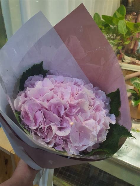 보라 꽃다발 L 배민 장보기∙쇼핑