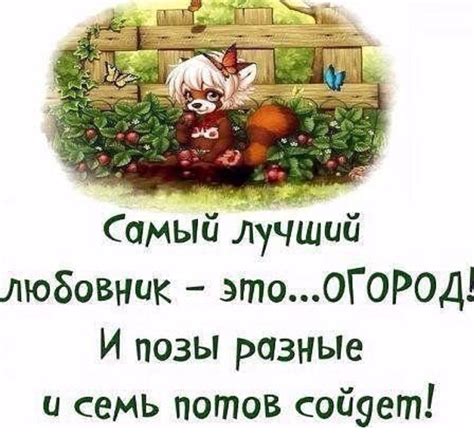 Удача на даче 65 фото красивые картинки и Hd фото