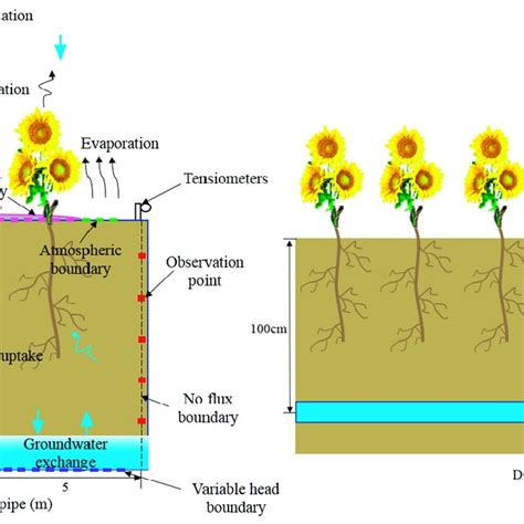 Field Modeling Area Boundary Conditions And Control Drainage Devices