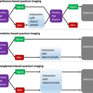 Photon Number Statistics For Different Quantum States Of Light A Download Scientific Diagram