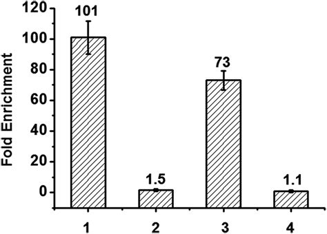 Extent Of Enrichment Of 5 Formyluracil In Single Stranded Dna And