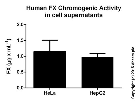 Antibodies Proteins Kits And Reagents For Life Science Abcam