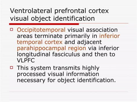 Anatomy And Connections Of Prefrontal Cortex Ppt