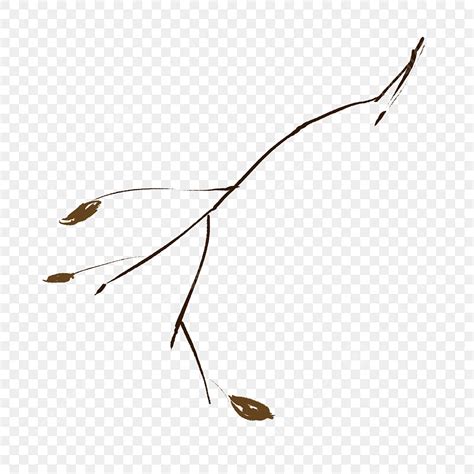 樹枝 樹枝 葉 植物png去背圖片素材免費下載，免摳圖設計圖案下載 Pngtree