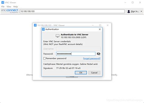 解决windows系统下vnc viewer无法连接到远程主机上的vnc server的问题 看星星的小王子 gitcode 开源社区